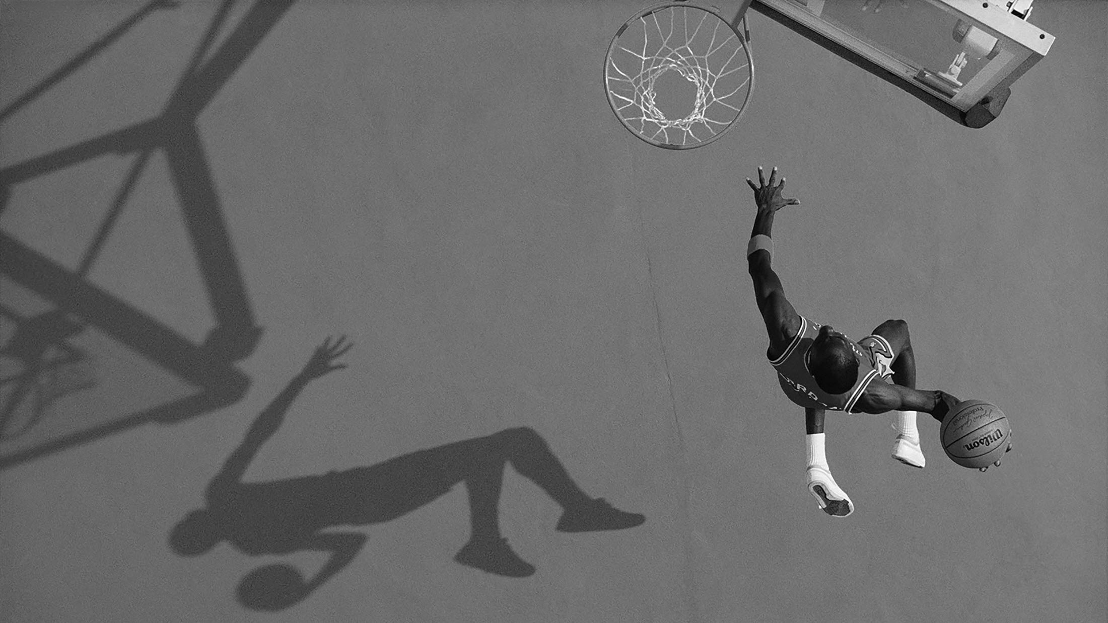 G.O.A.T. Authentics - Sports Memorabilia Authentication